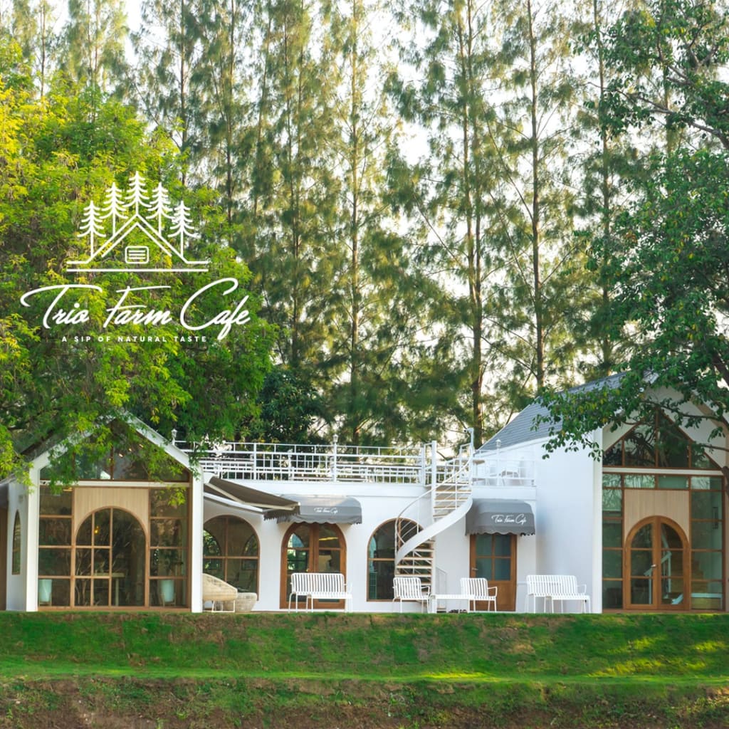 10 คาเฟ่กาญจนบุรี เปิดใหม่ บรรยากาศดี เมนูหลากหลาย มุมถ่ายรูปเยอะ 2025