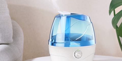 11 Pilihan Humidifier Terbaik di Indonesia 2024