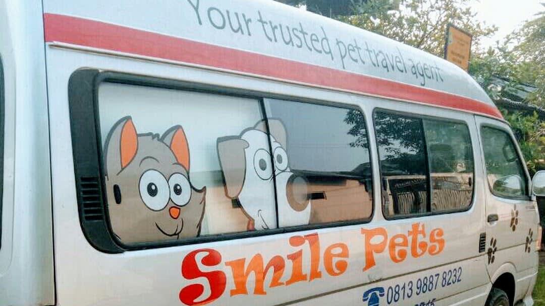 Smile Pets Harga & Review / Ulasan Terbaik di Indonesia 2023