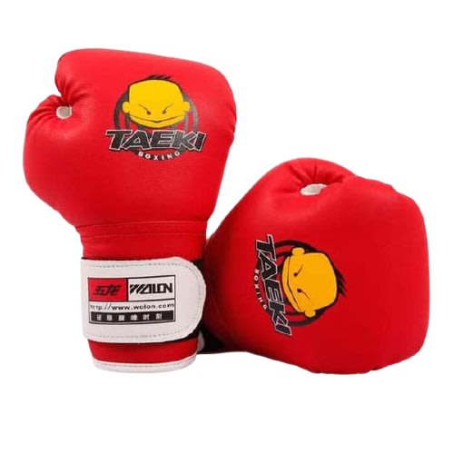 Wolon Taeki Boxing Gloves Harga & Review / Ulasan Terbaik di Indonesia 2024